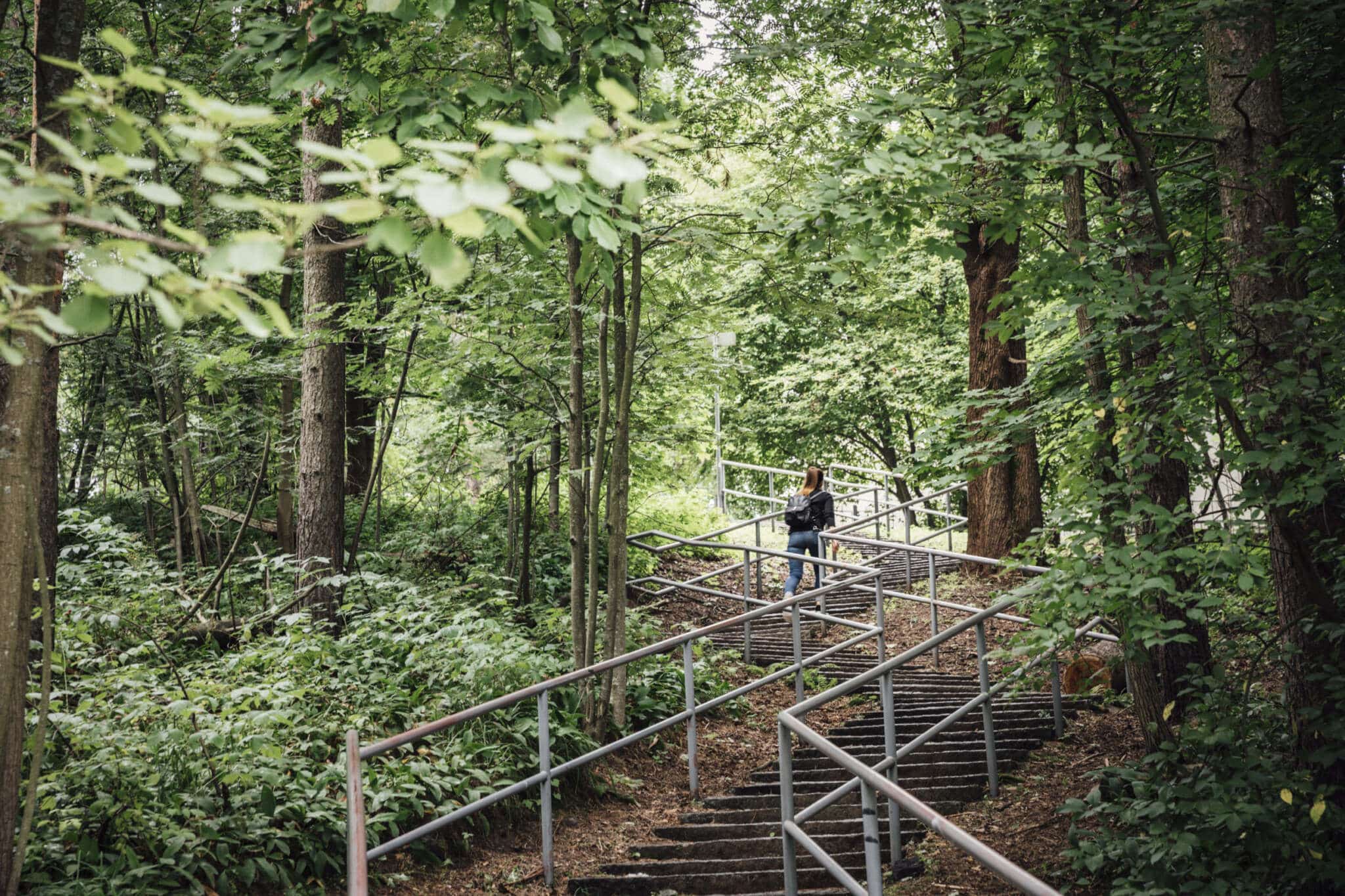 5 nature attractions in Helsinki from a local's perspective - Hotel Arthur